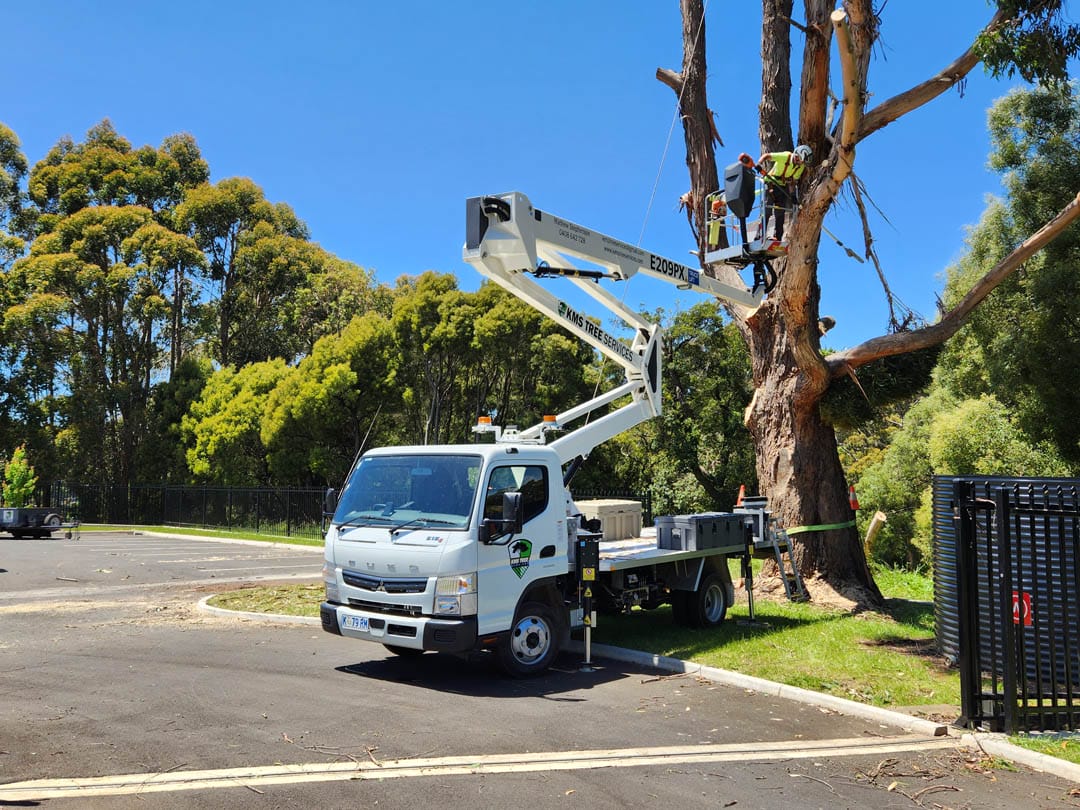 Monitor E209PX Truck Mounted Lift — Monitor
