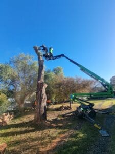 Leguan 190 Spider Lift — Monitor
