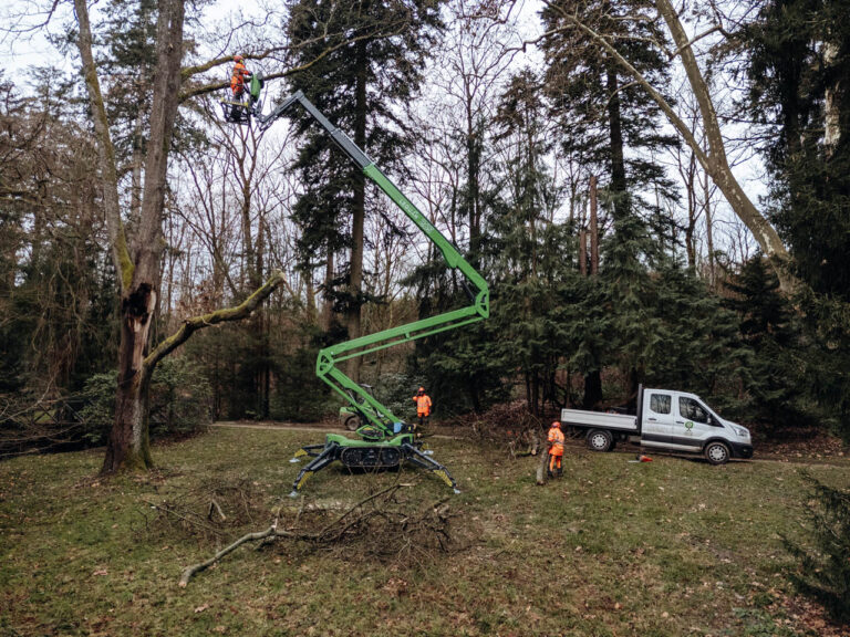 Leguan 265 Spider Lift — Monitor
