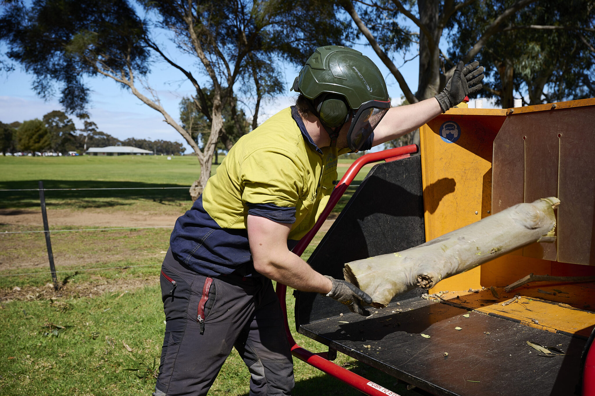 Arborist Machinery — Monitor